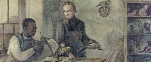 People We Weren’t Taught About: John Edmonstone